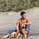 Dog Trainer Academy by Doggy Dan – Home – Opening Soon - Dog Trainer ...