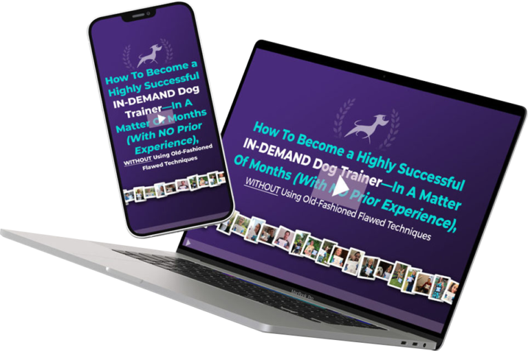 Dog Trainer Academy by Doggy Dan